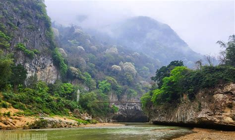 Video Mesmerized By The White Blossoms In The Forests Of Thanh Hoa
