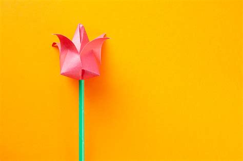 오렌지 바탕에 분홍색 종이 튤립 3 월 8 일 여자의 날 개념입니다 카피 스페이스 수 제 종이 접기 튤립 0명에 대한 스톡 사진 및 기타 이미지 Istock