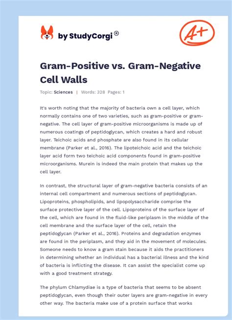 Gram Positive Vs Gram Negative Cell Walls Free Essay Example