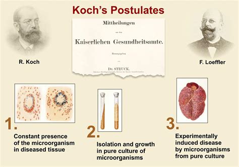 Frontiers Vaccine Development Against Tuberculosis Over The Last 140