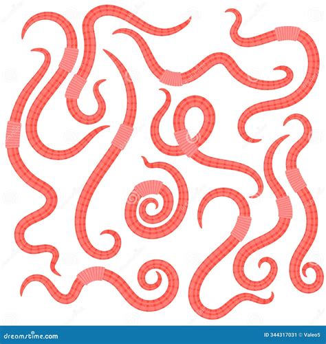 Vector Animal Earth Red Worms For Fishing Isolated On White Background