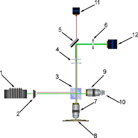 Schematic Diagram Of Optical Microscope Microscope Diagram L
