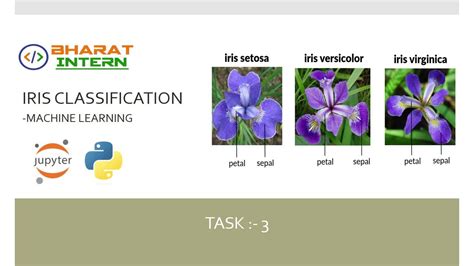 My One Month Internship At Bharat Intern Mohammad Asad Posted On The