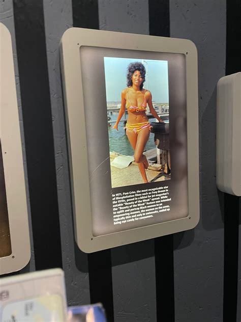 Img7267 The Museum Of Sex Is A Sex Museum Located At 233 Flickr