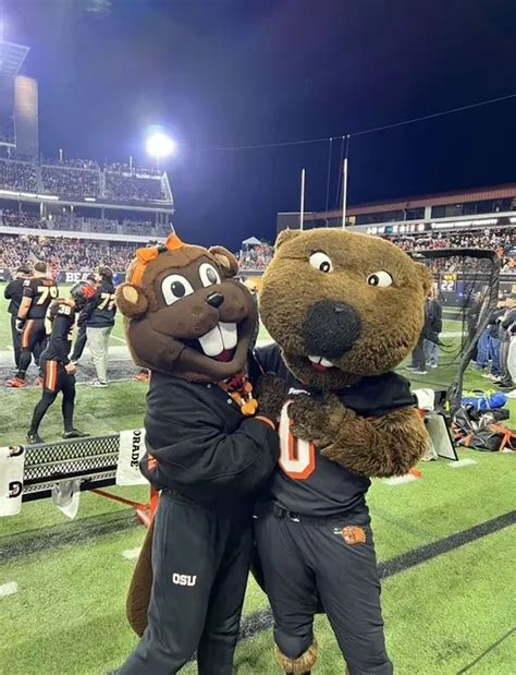 Benny The Beavers Big Secret College Of Liberal Arts Oregon State