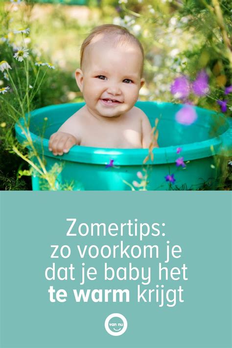 Eikenprocessierups Hoe Voorkom Je Klachten Artofit