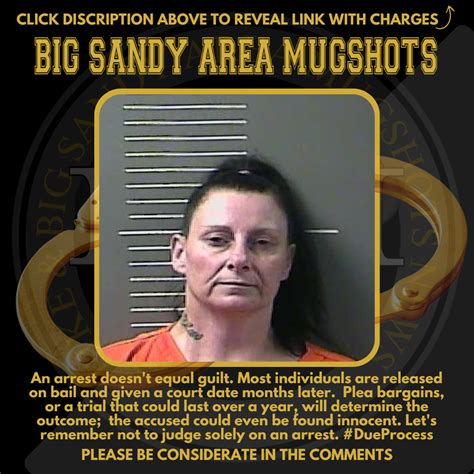Alexis Collins Big Sandy Area Mugshots News
