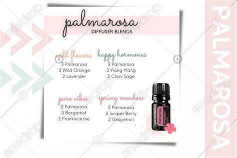 Palmarosa Spring Diffuser Blends By Jess Tunis