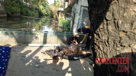 Decomposing Remains Of Woman Found In Creek • Gorecenter