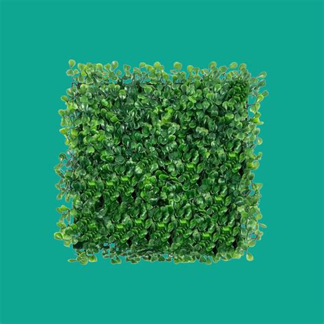 Plant Wall Snappy Treats