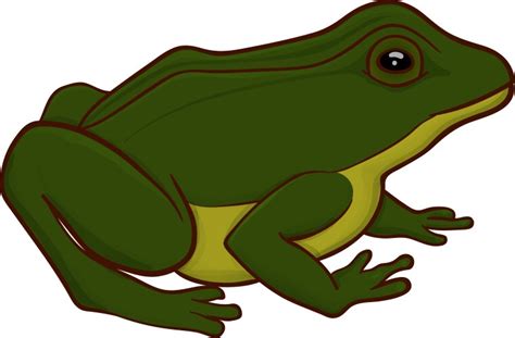 Frog Vector Images Over 24 000