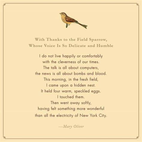 Field Sparrows Mary Oliver Mary Oliver Quotes Mary Oliver Poems