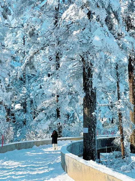 下雪啦~赶紧来瓦屋山与春后雪相遇吧！ 关注森林