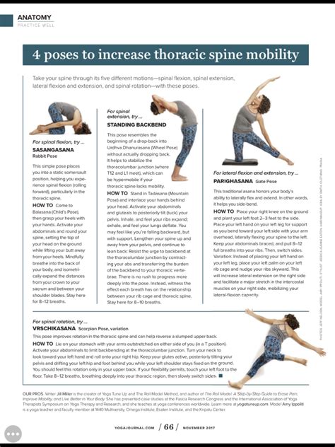 How To Improve Thoracic Spine Mobility Artofit