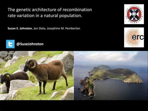 The Genetic Architecture Of Recombination Rate Variation In A Natural