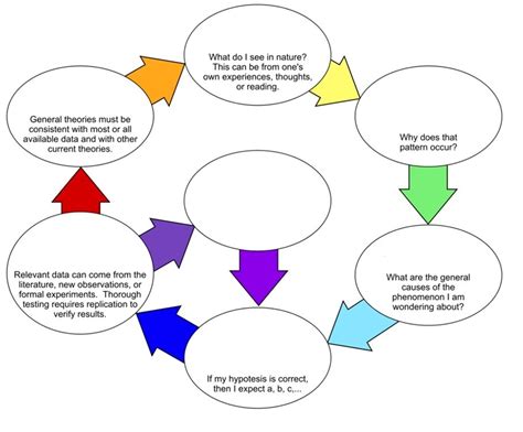 Bio 111 Scientific Method Diagram Quizlet