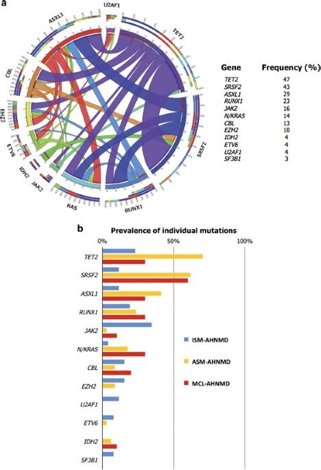 additional mutations in srsf2 asxl1 and or runx1 identify a high risk