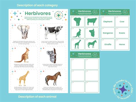 Animal Classification Printable Sorting By Diet Etsy