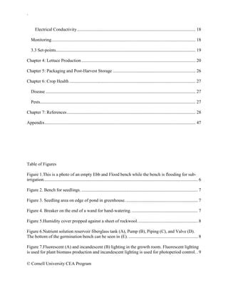 Cornell Cea Lettuce Handbook Pdf