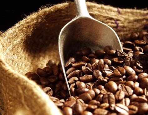 Coffee Store Kape Umali Coffee Company