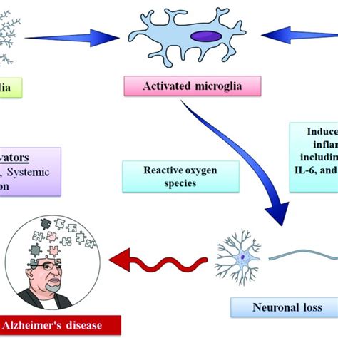 The Protective And Pathological Roles Of Microglia In Ad Pathogenesis [78] Download