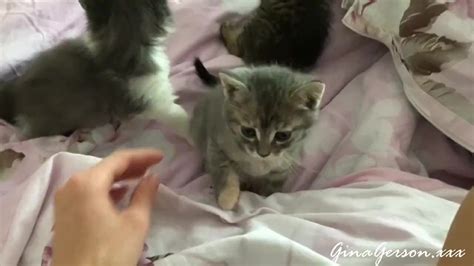 In Siberia Free Sex Video Redtube