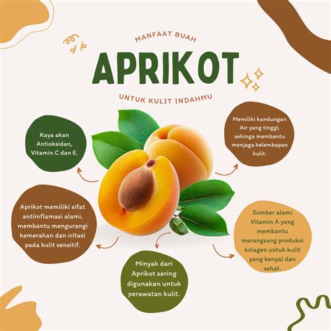 Gratis Desain Contoh Buah Canva