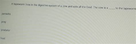 A Tapeworm Lives In The Digestive System Of A Cow And Esta All The Food The Cow Is A To The