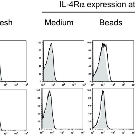 Modulation Of Il 4r Expression On Naive And Memory T Cells By Ifn 1 Download Scientific