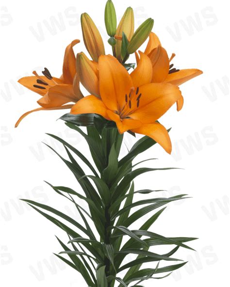 301 Moved Permanently