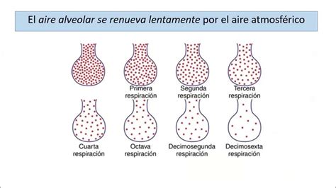 Hematosis 1º Parte Youtube