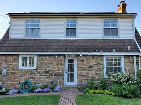 Phlox Small Flowers Big Impact — Three Little Limes