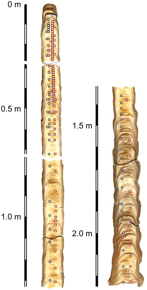 Cp Climate Induced Speleothem Radiocarbon Variability On Socotra Island From The Last Glacial