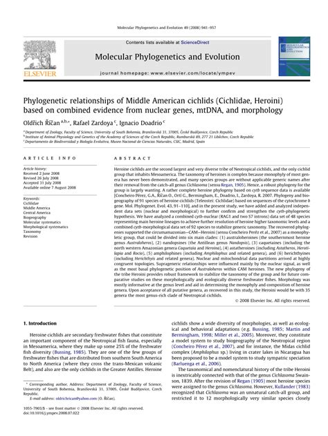 Pdf Phylogenetic Relationships Of Middle American Cichlids Cichlidae