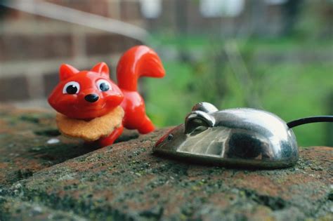 Premium Photo Small Toy Fox And Toy Mouse