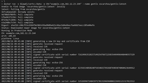 Mtls How To Generate Self Signed Mtls Certs And Keys In 10s No Click Bait Oscars Notebook
