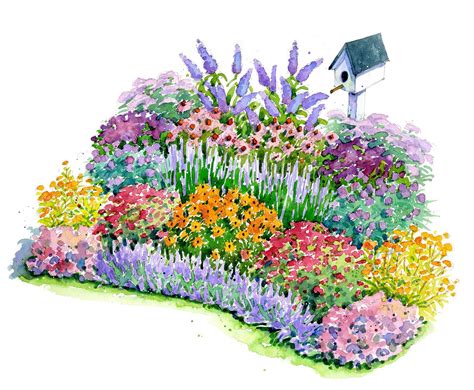 Perennial Butterfly Garden Design Plans At Steven Morton Blog