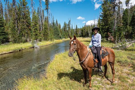 Camping With Horses Horse Illustrated