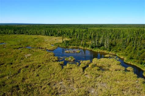 Worlds Largest Beaver Dam In Improvement District No 24