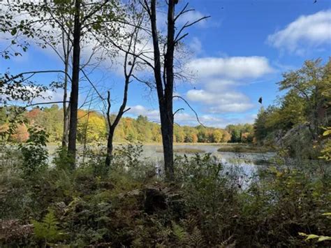 10 Best Trails And Hikes In Kawartha Lakes Alltrails