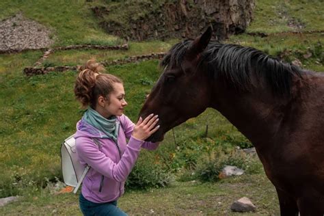 Mulher Dando Pro Cavalo Fotos De Stock Mulher Dando Pro Cavalo Imagens