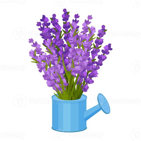 Flower And Leaf Illustration 12662208 Png