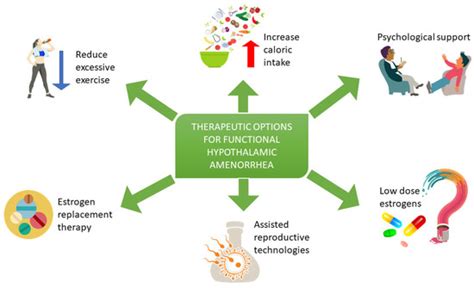 Treatment Of Functional Hypothalamic Amenorrhea Encyclopedia Mdpi