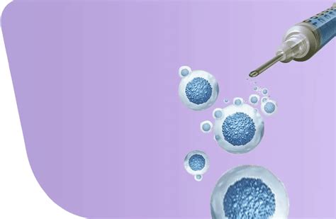 Partial Knee Replacement In Turkey Technology Recovery And Costs