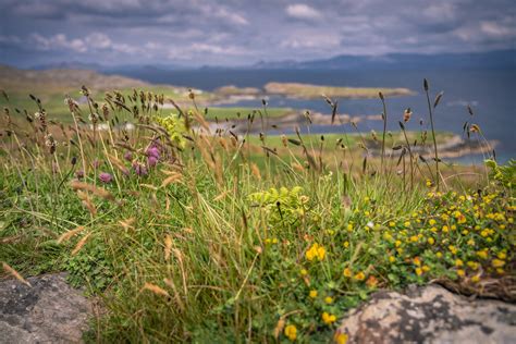 20190518 1301 106 Albertobermeier Flickr