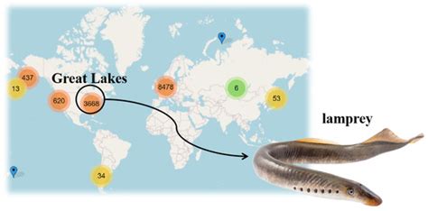 Modeling Population Dynamics And Assessing Ecological Impacts Of