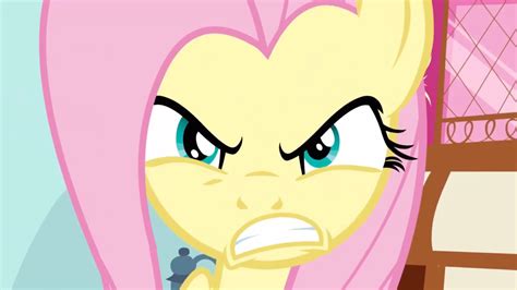 Fluttershy Disgusted Fluttershy Stare Fluttershy Angry Face