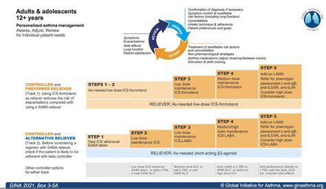 Gina Guidelines For Asthma Gina 2025 Asthma Treatment Evmji