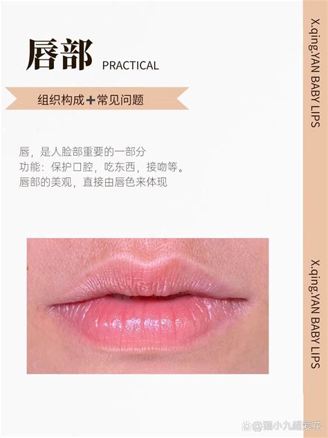 唇部组织结构 常见问题