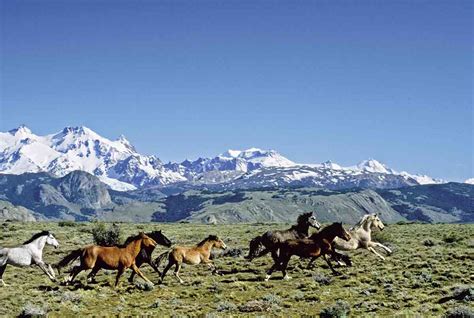 Patagonia Espectaculares Paisajes Del Sur De Argentina SegÚn National